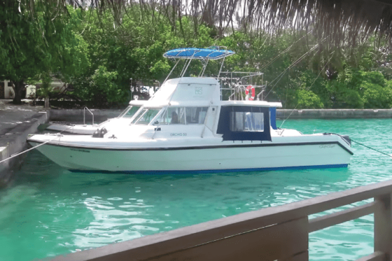 Speed boat Transfers in Maldives