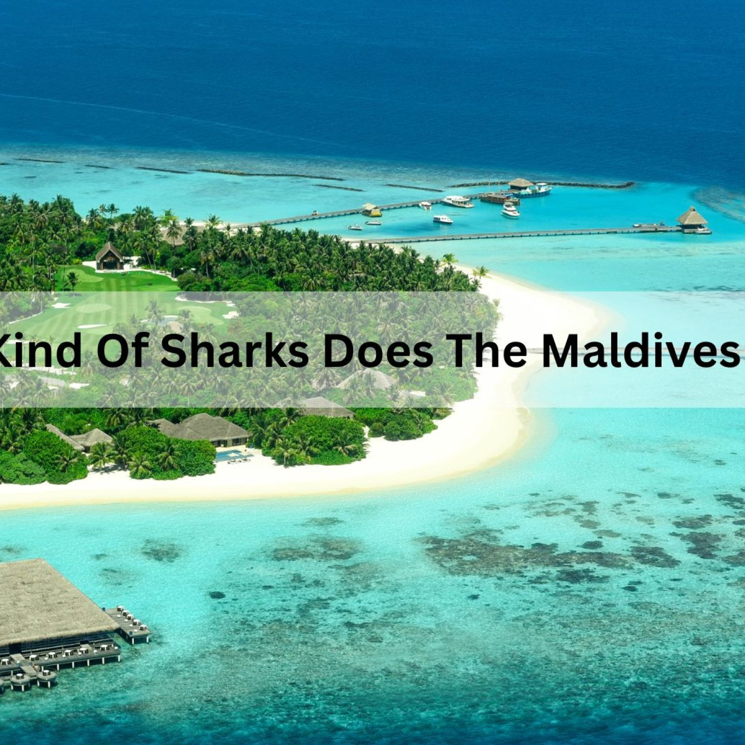 Maldives seaplane baggage allowance