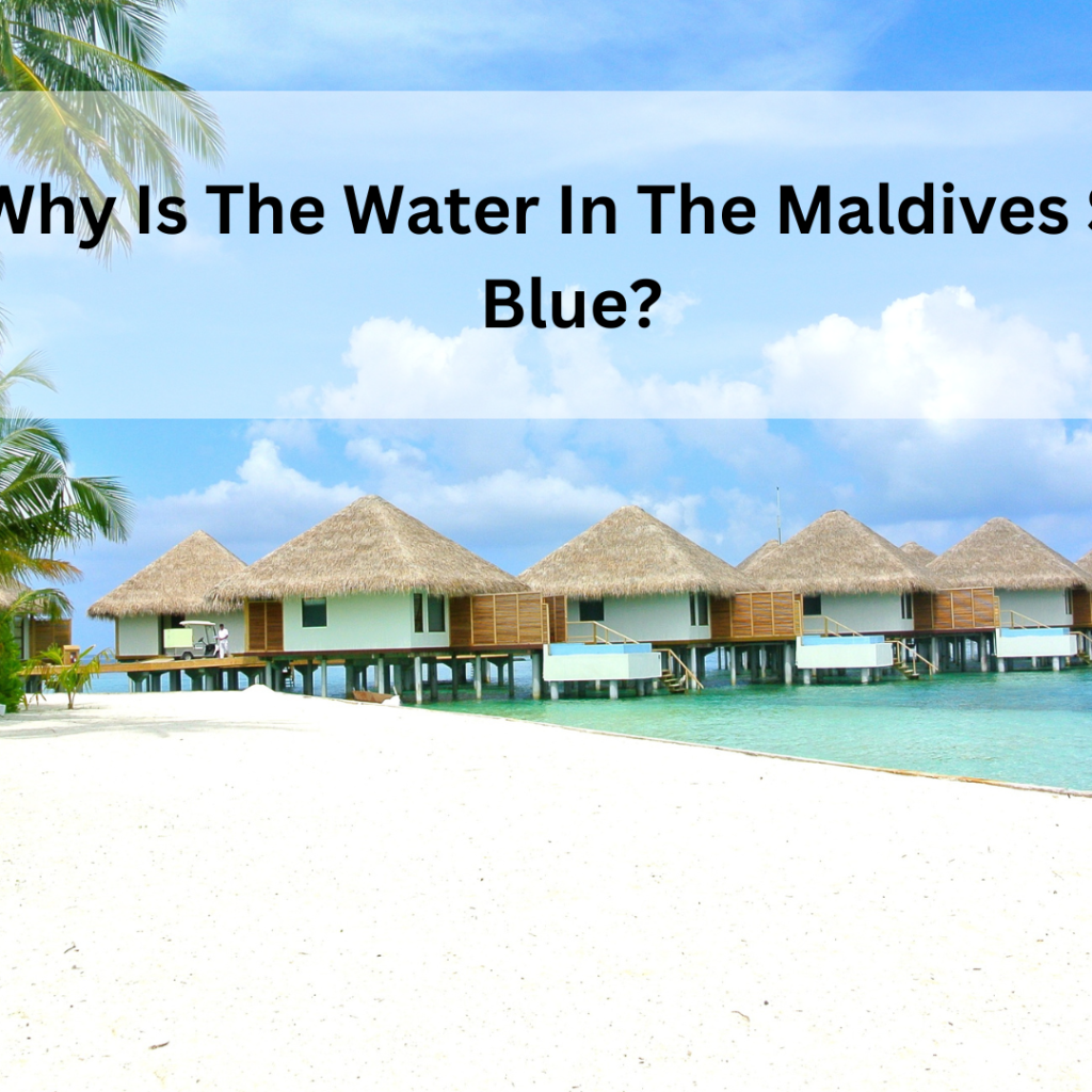 Why Is The Water In The Maldives So Blue?