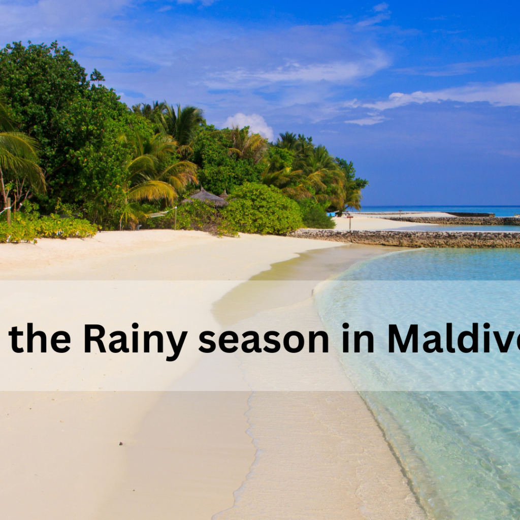 What is the Rainy season in Maldives