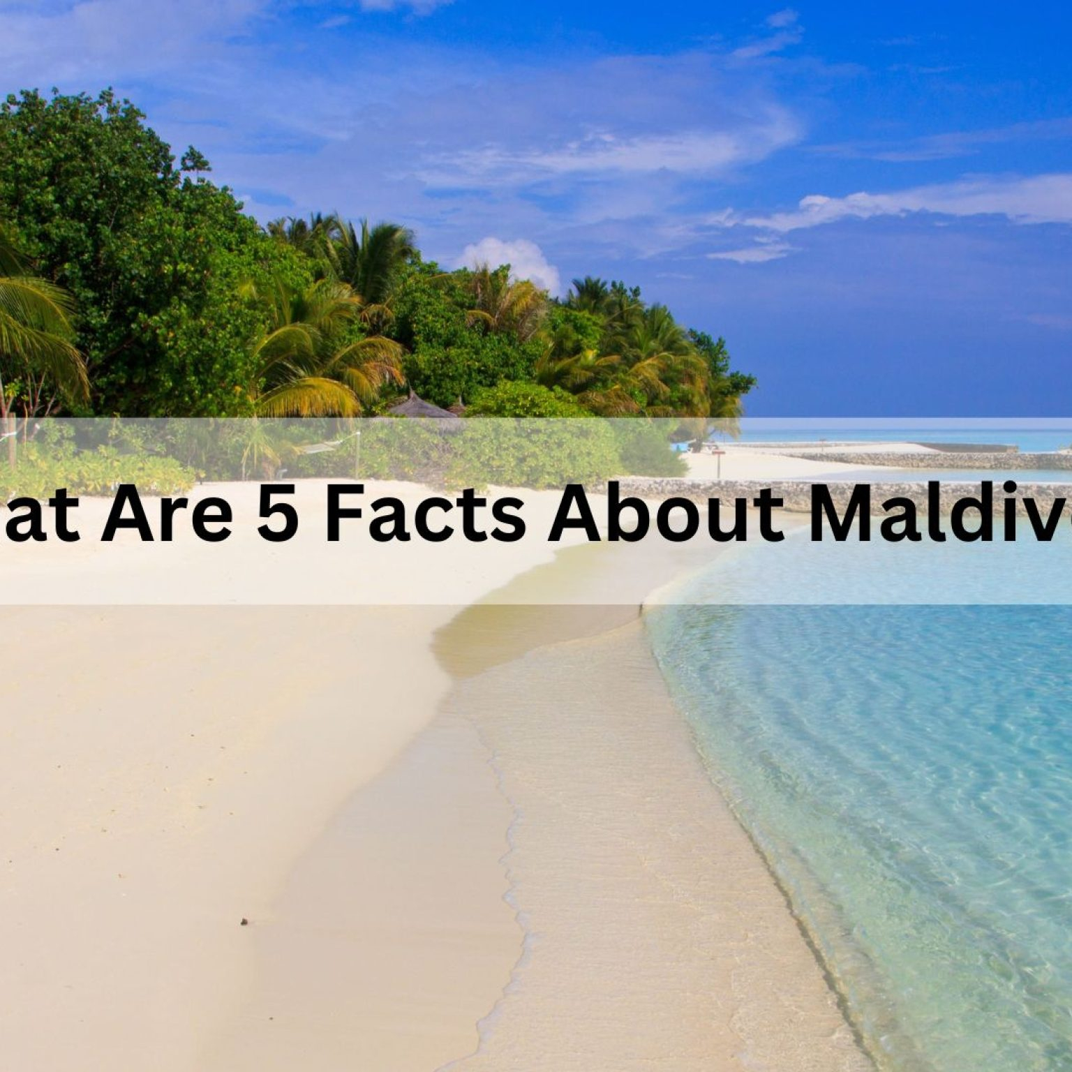 Maldives Airports | List of Airports in Maldives | MLE Airport Guide